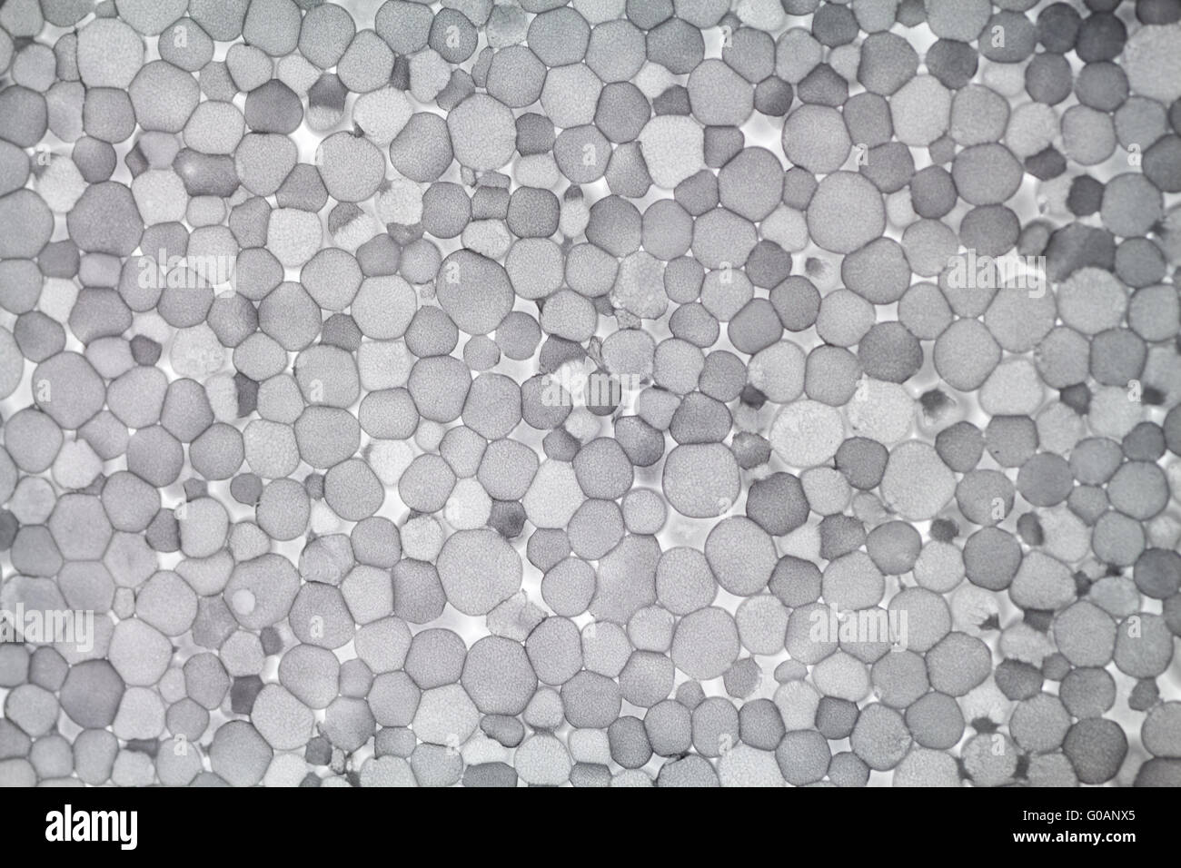 Styro foam in white Stock Photo - Alamy