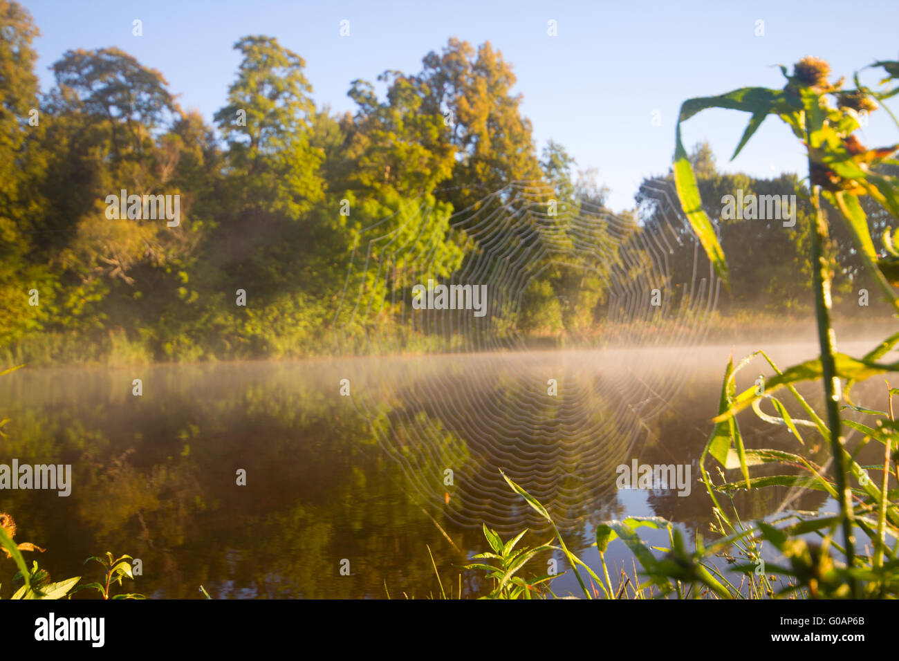 bright morning solar rising landscape, river mist Stock Photo - Alamy
