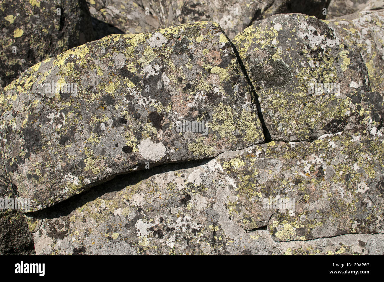 Old moraine rocks with moss closeup as background Stock Photo - Alamy