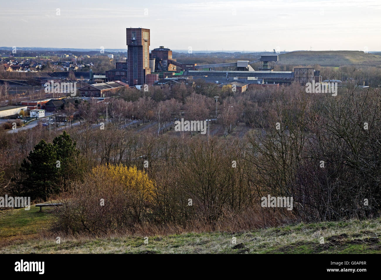 Kissinger level with east colliery, Hamm, Germany Stock Photo - Alamy