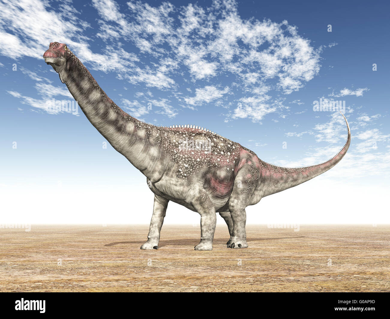 Diamantinasaurus hi-res stock photography and images - Alamy