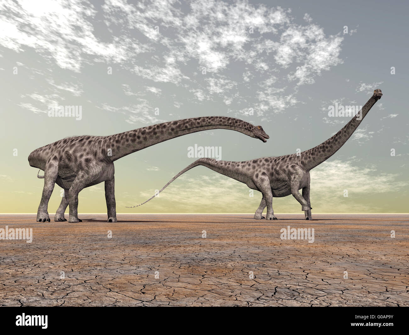 Dinosaurier diplodocus hi-res stock photography and images - Alamy