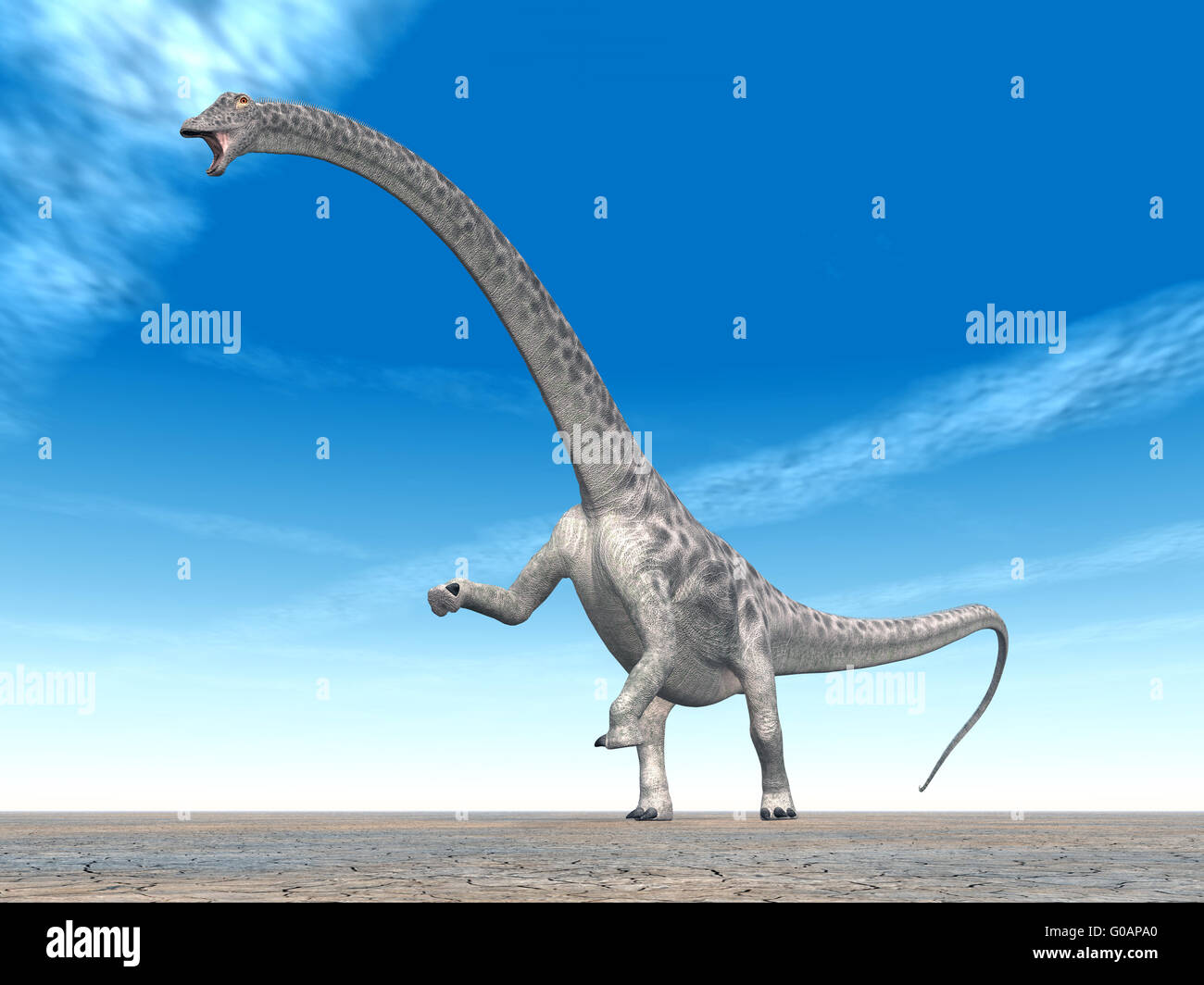 Dinosaurier diplodocus hi-res stock photography and images - Alamy