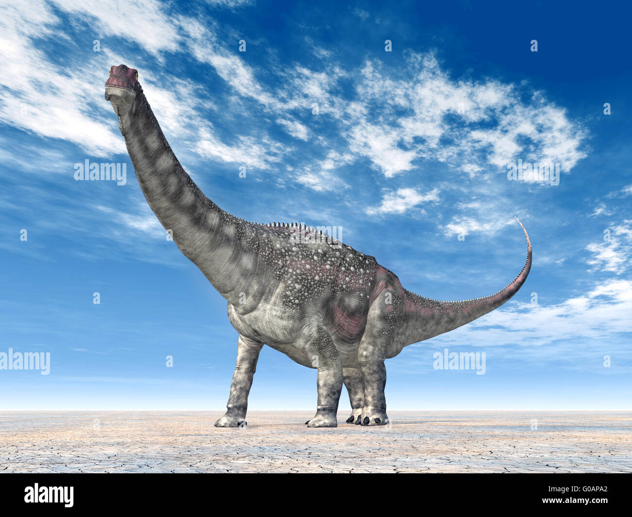 Diamantinasaurus hi-res stock photography and images - Alamy