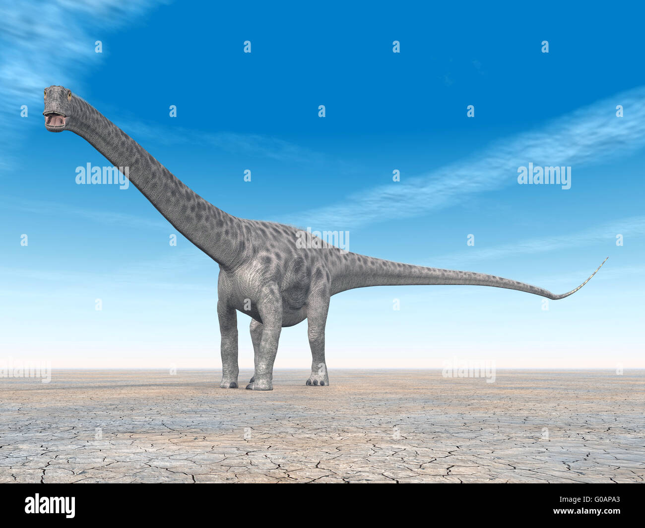 Dinosaurier diplodocus hi-res stock photography and images - Alamy