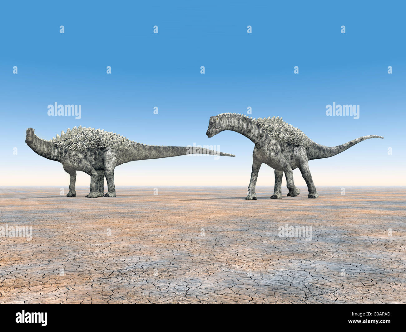 Ampelosaurus hi-res stock photography and images - Alamy