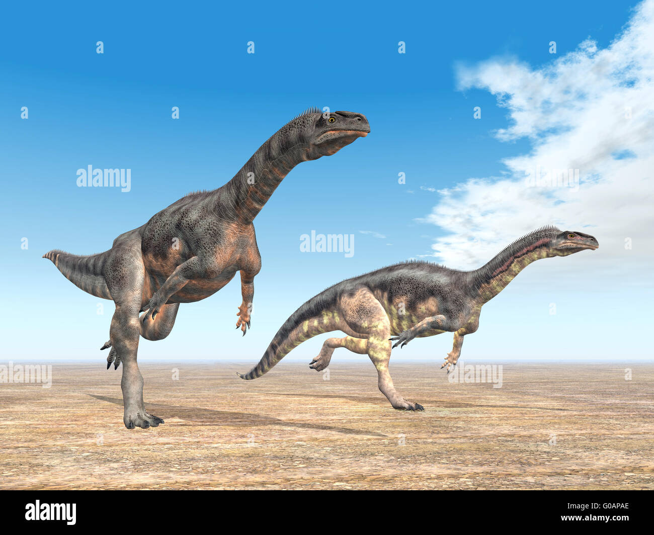 Plateosaurus hi-res stock photography and images - Alamy