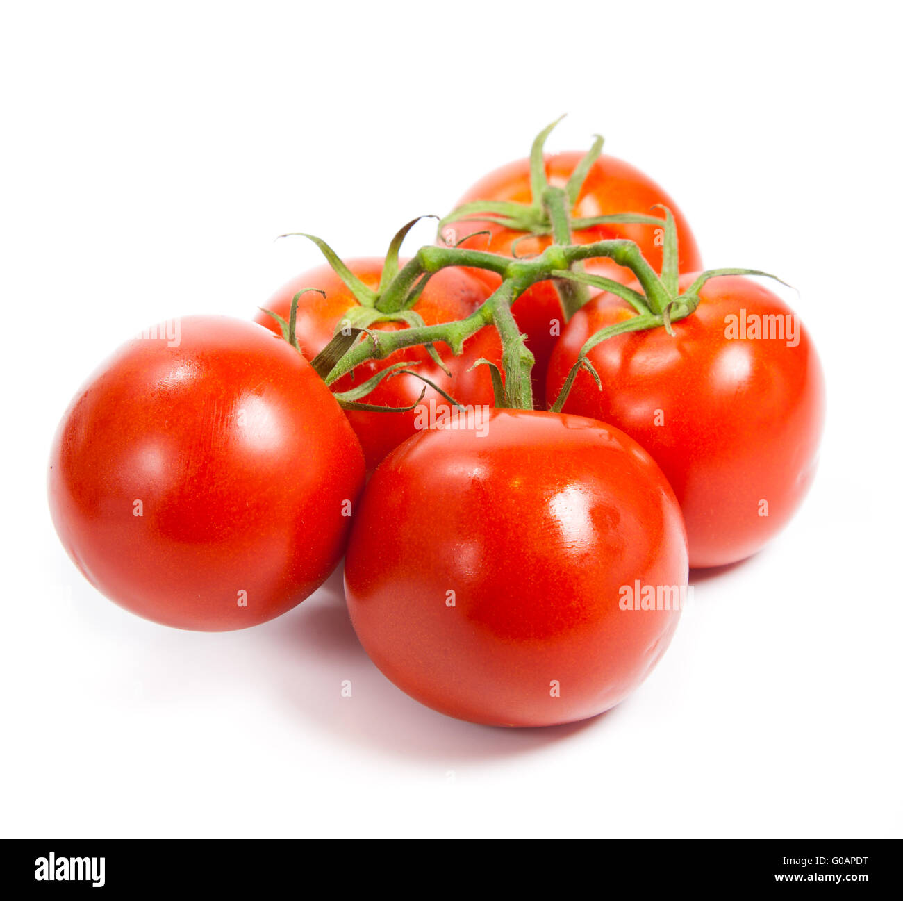 Closeup of tomatoes on the vine isolated on white Stock Photo - Alamy