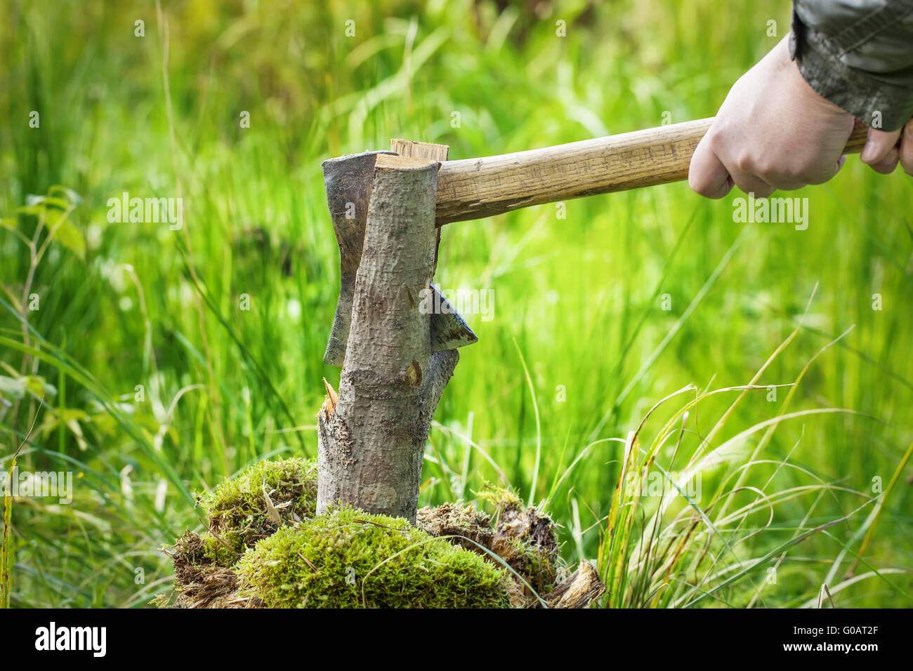 Lumberjack in forest with an ax Stock Photo - Alamy