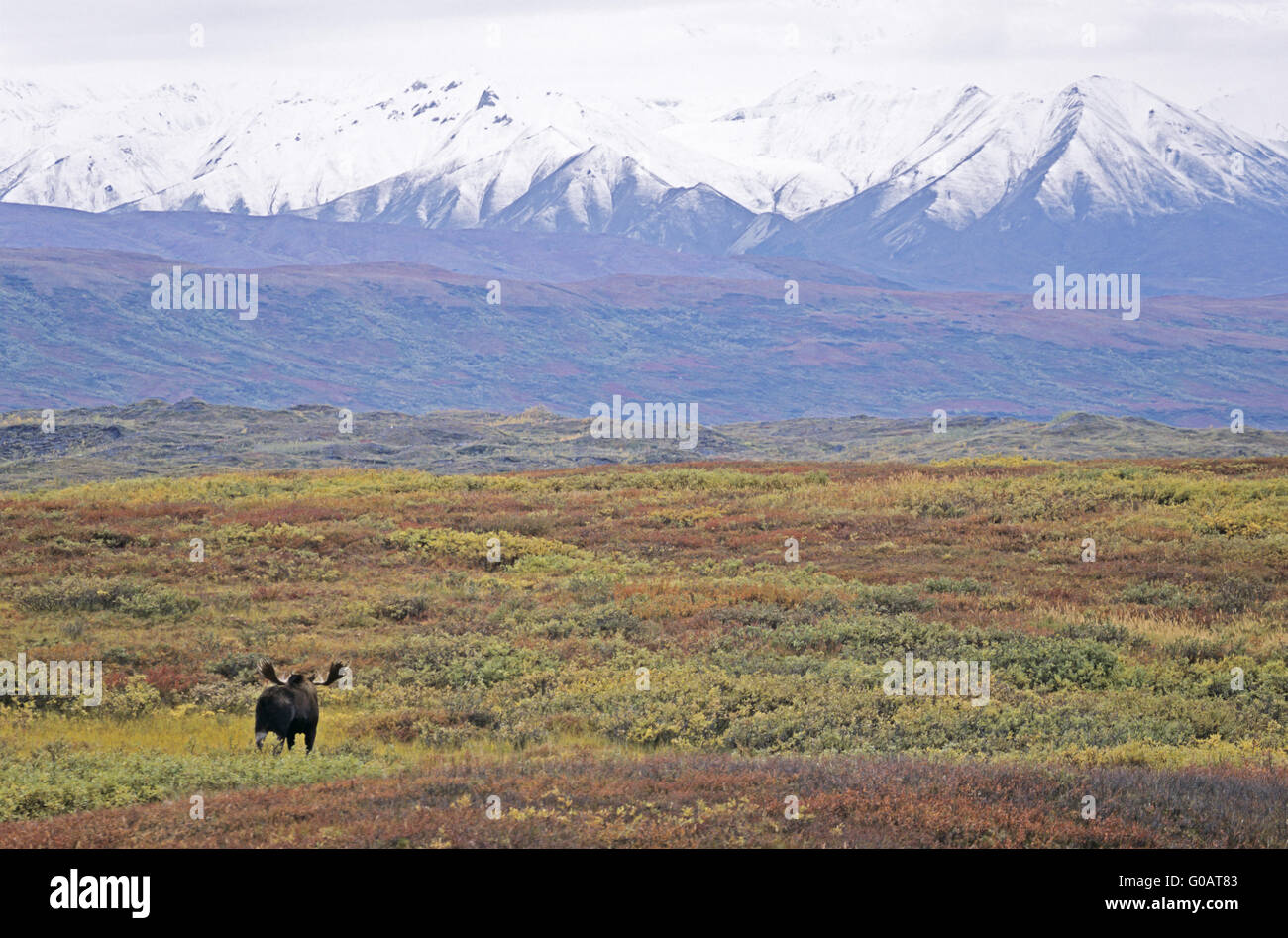 Harts Range High Resolution Stock Photography and Images - Alamy