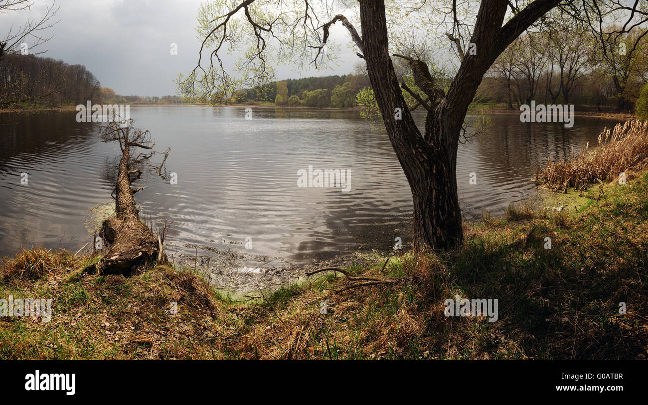 Sunny spring landscape. River in a green forest. Belarus Stock Photo ...