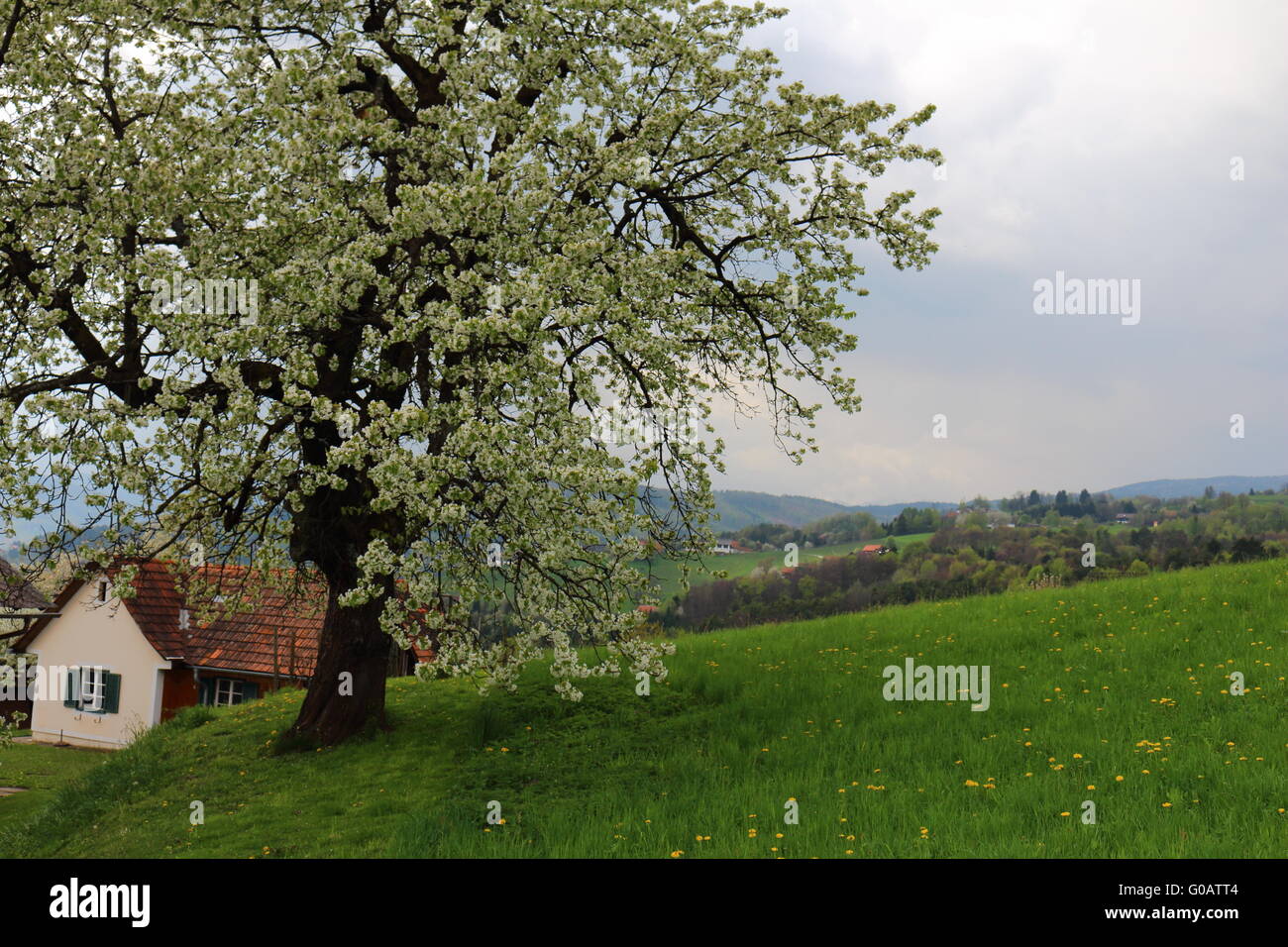 Sud steiermark south styria hi-res stock photography and images - Alamy