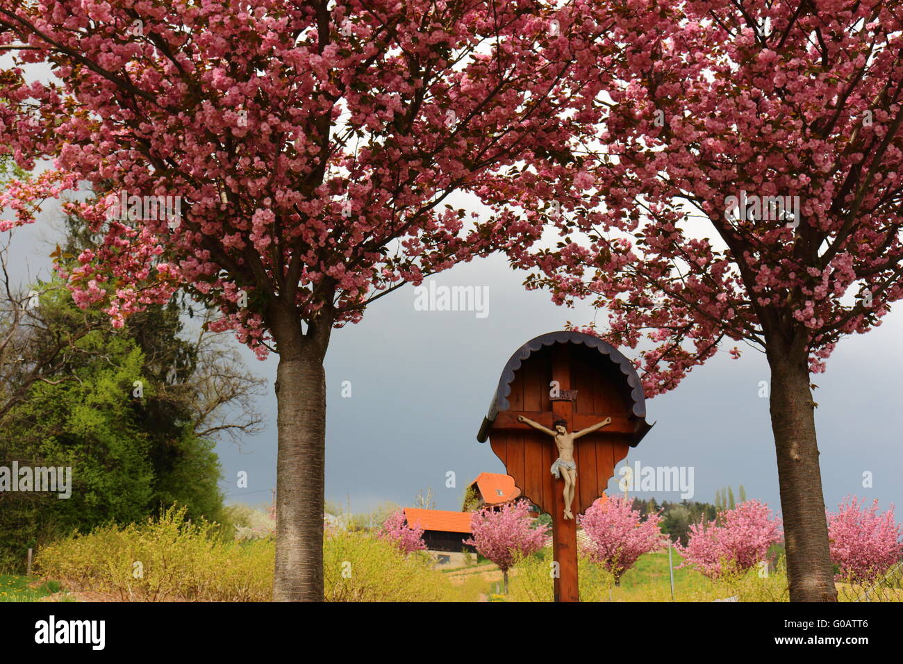 Steiermark weinberg hi-res stock photography and images - Alamy