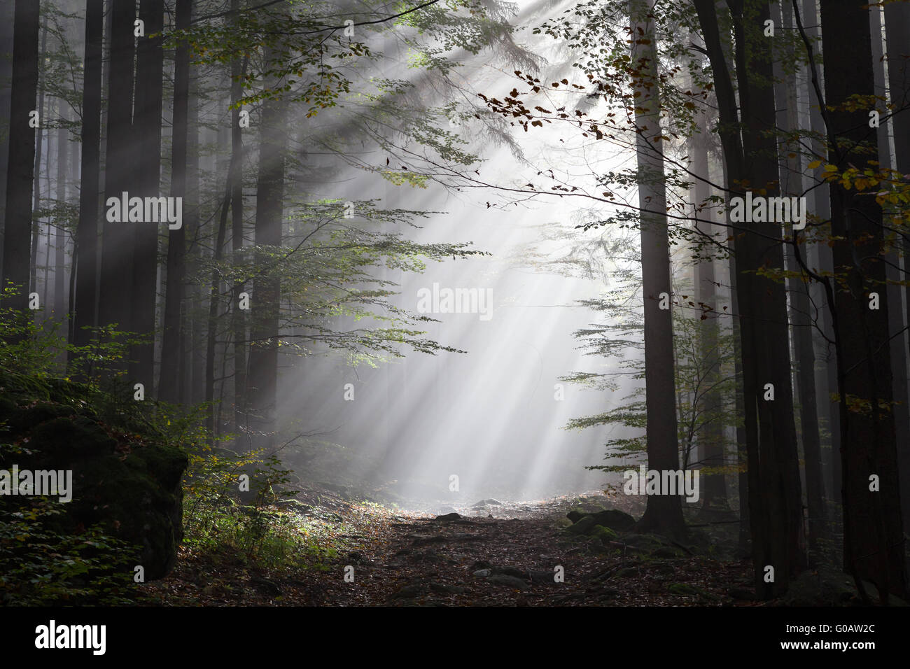 Sentiment High Resolution Stock Photography and Images - Alamy