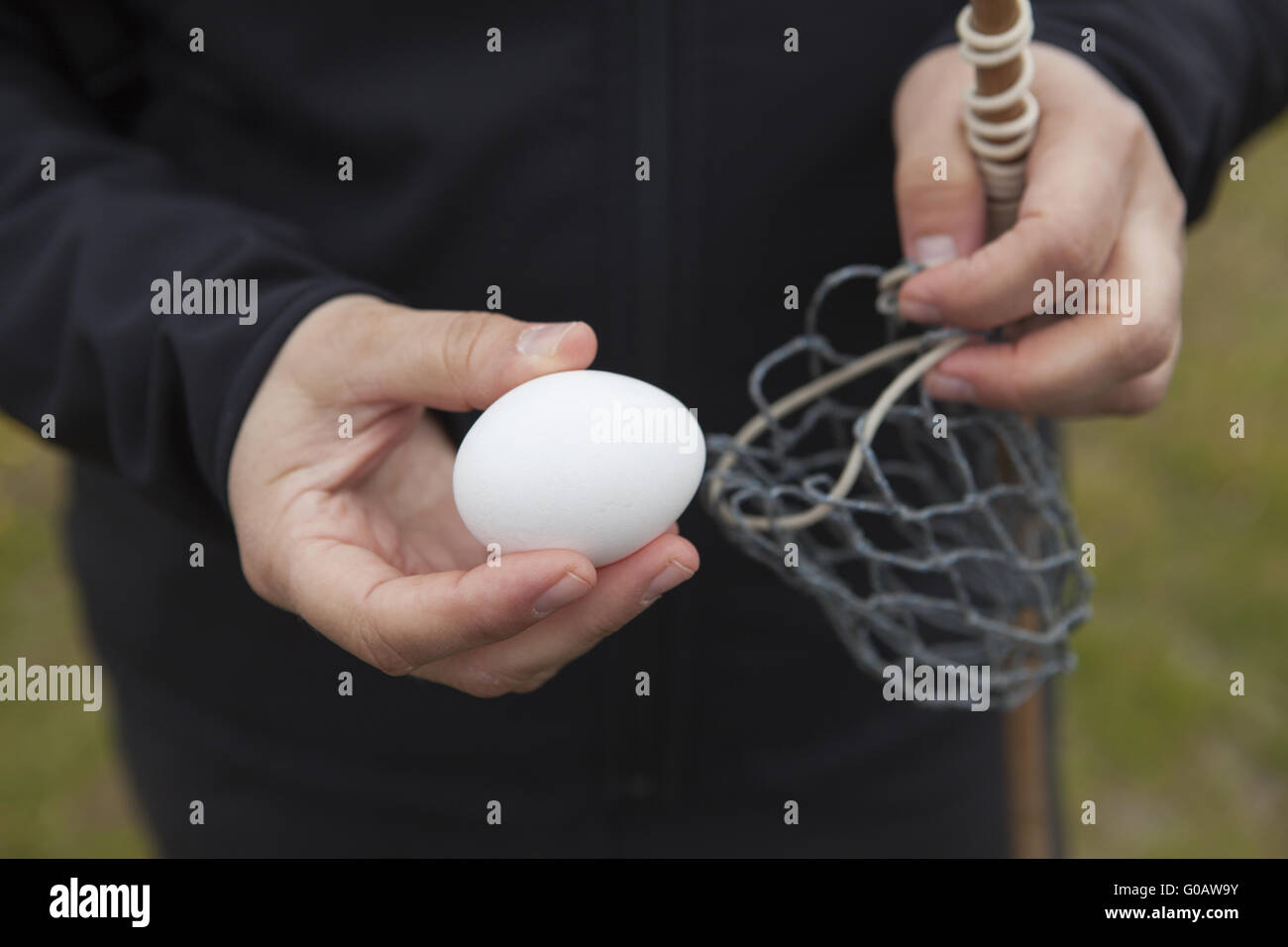 Egg to be boiled in sulfur source, Hvergerdi Stock Photo - Alamy