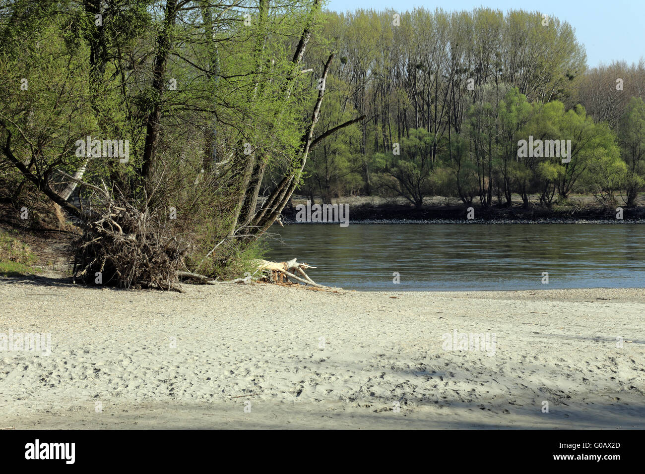 Nationalpark donauauen danube auen national park hi-res stock ...