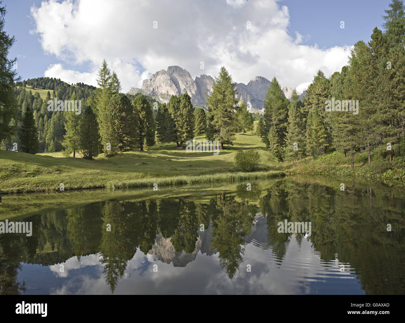 Lago lago lago lago foresta hi-res stock photography and images - Alamy