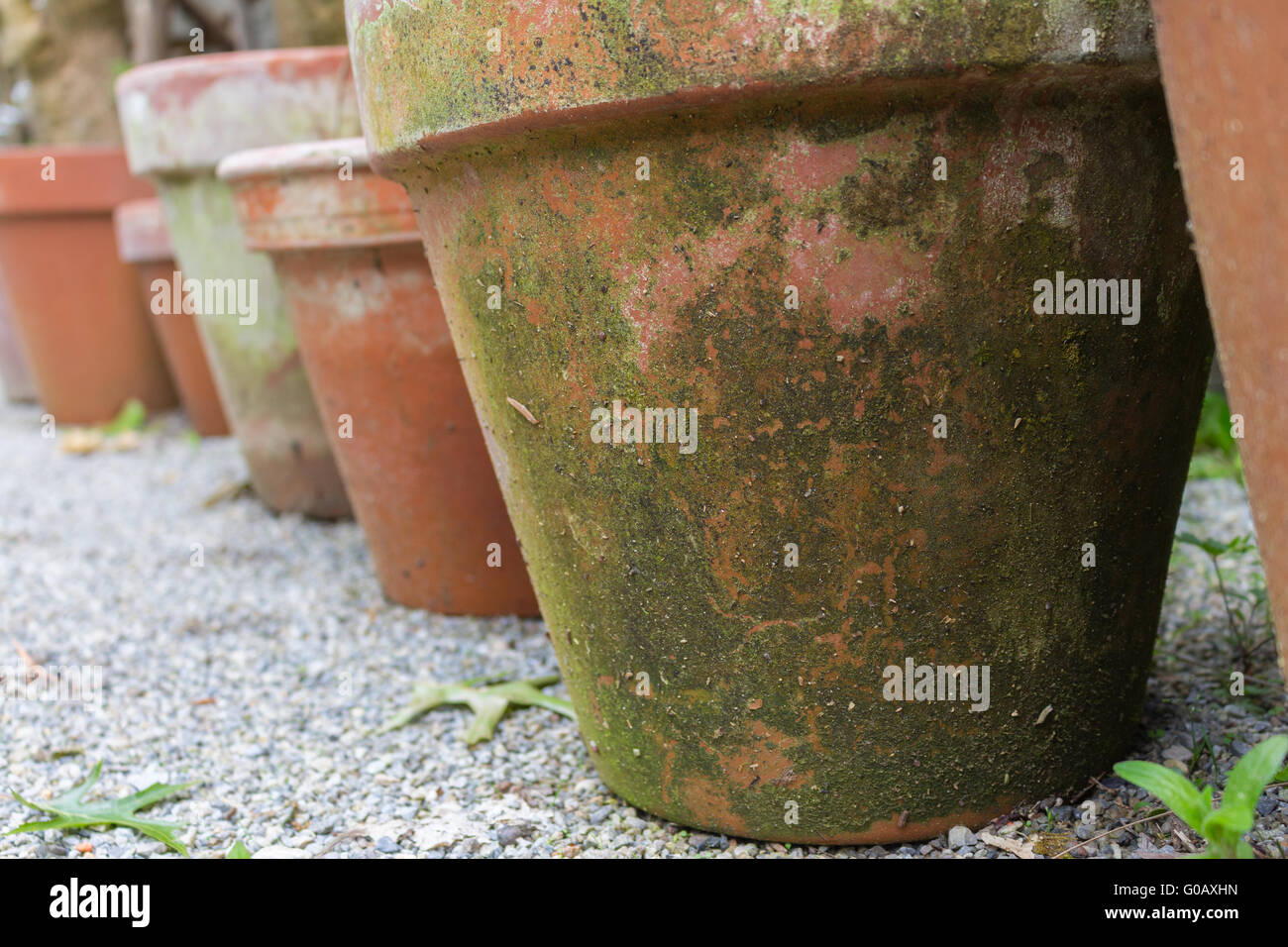 Culture pots hi-res stock photography and images - Alamy