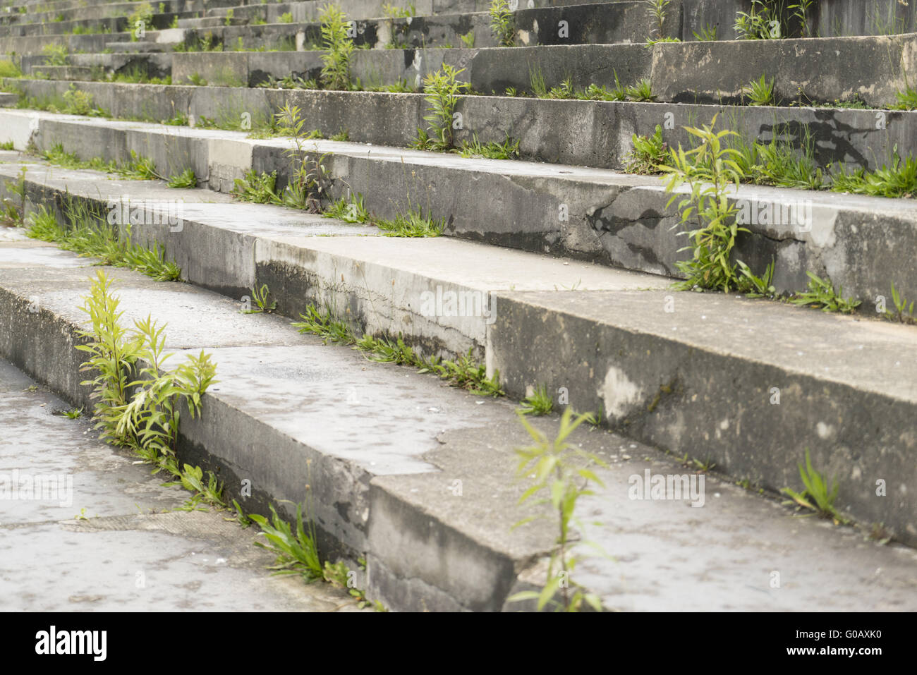Third Reich Party Rally Grounds Stock Photo - Alamy
