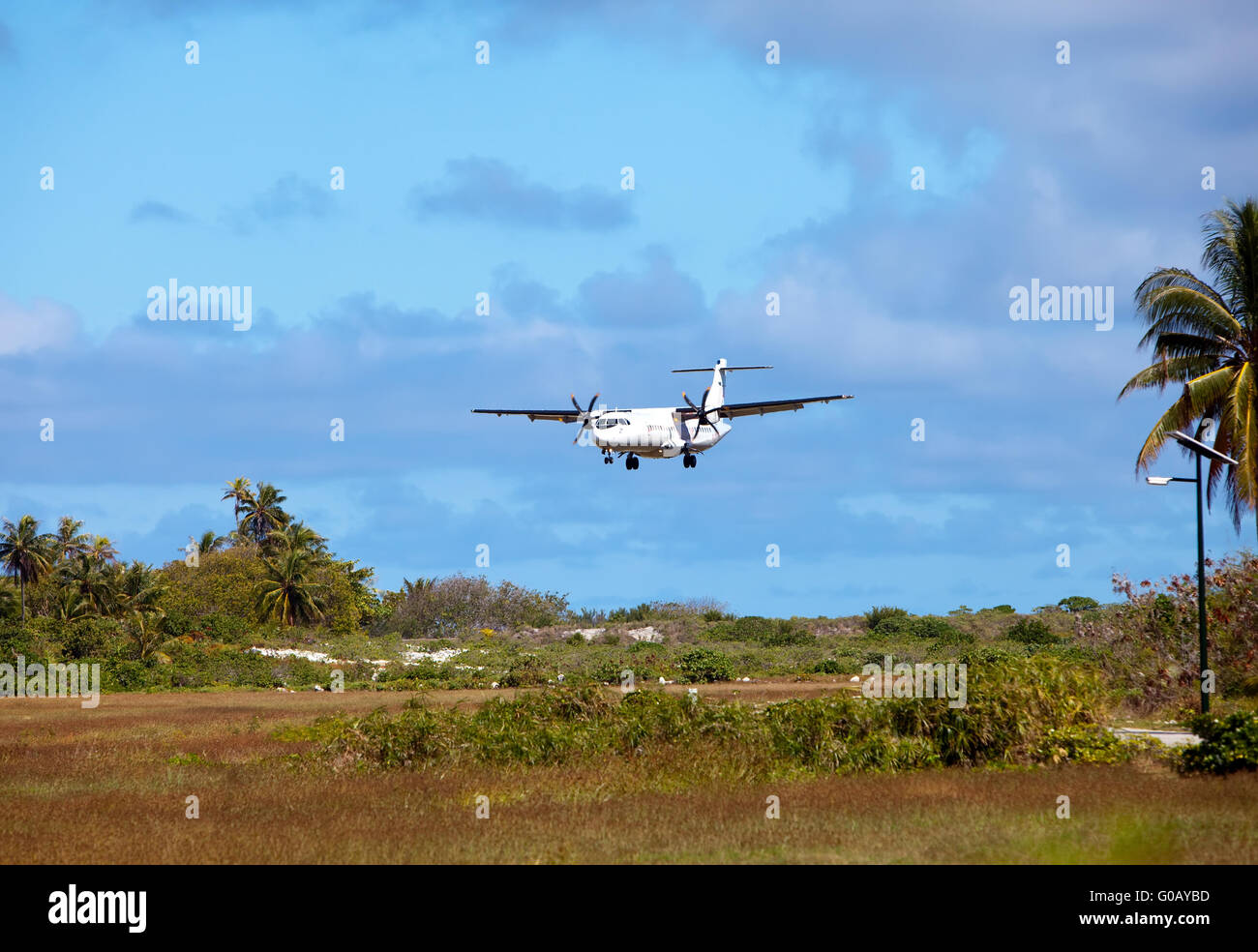 Landing on a leaf hi-res stock photography and images - Alamy