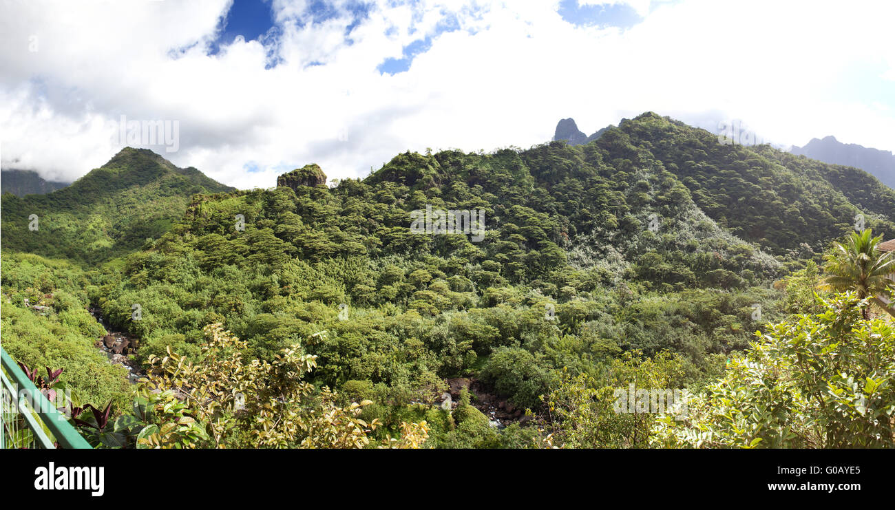 Nature of Mauritius. Wood and mountains, panorama Stock Photo - Alamy