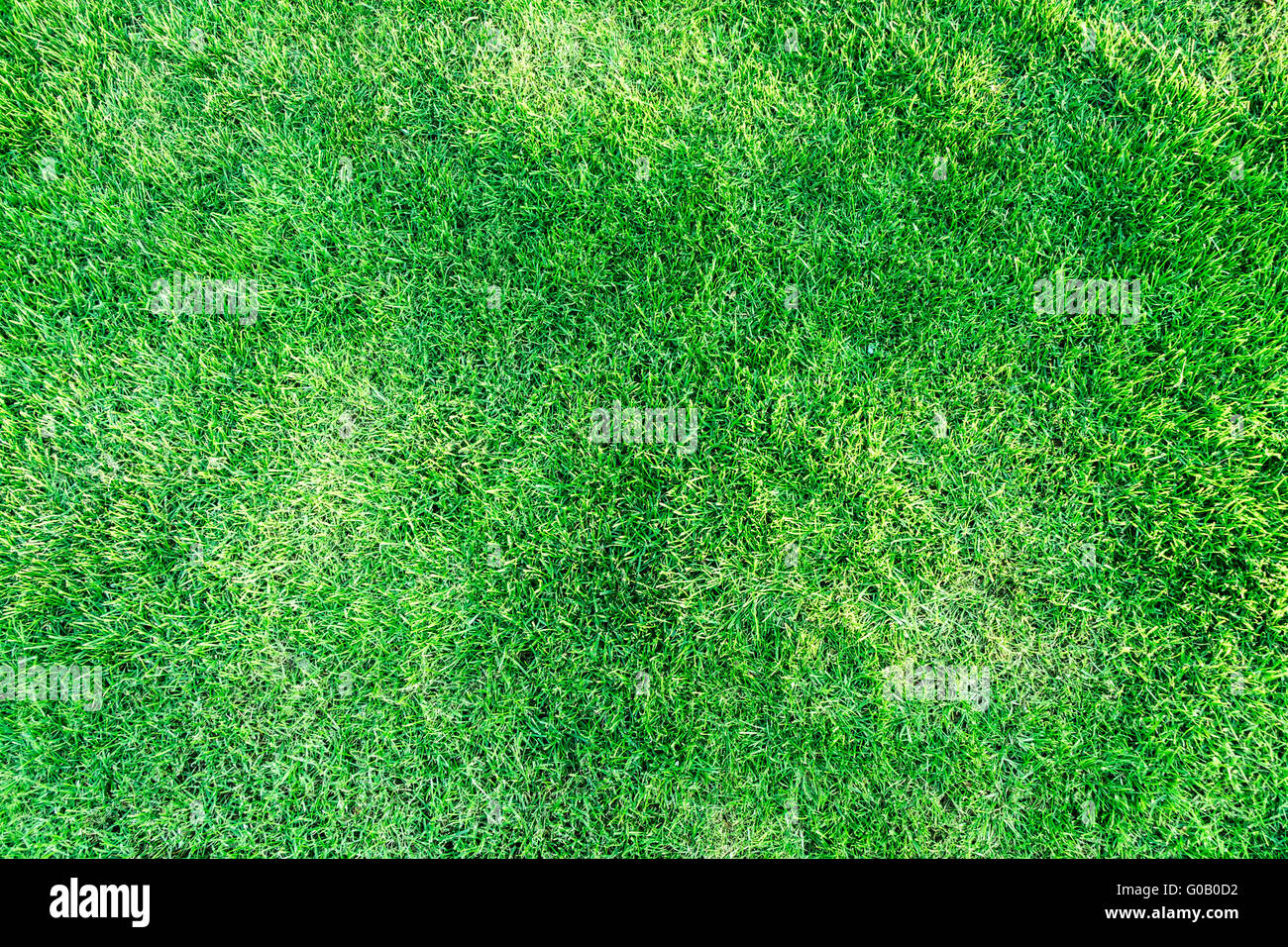 The grass is always greener Stock Photo - Alamy