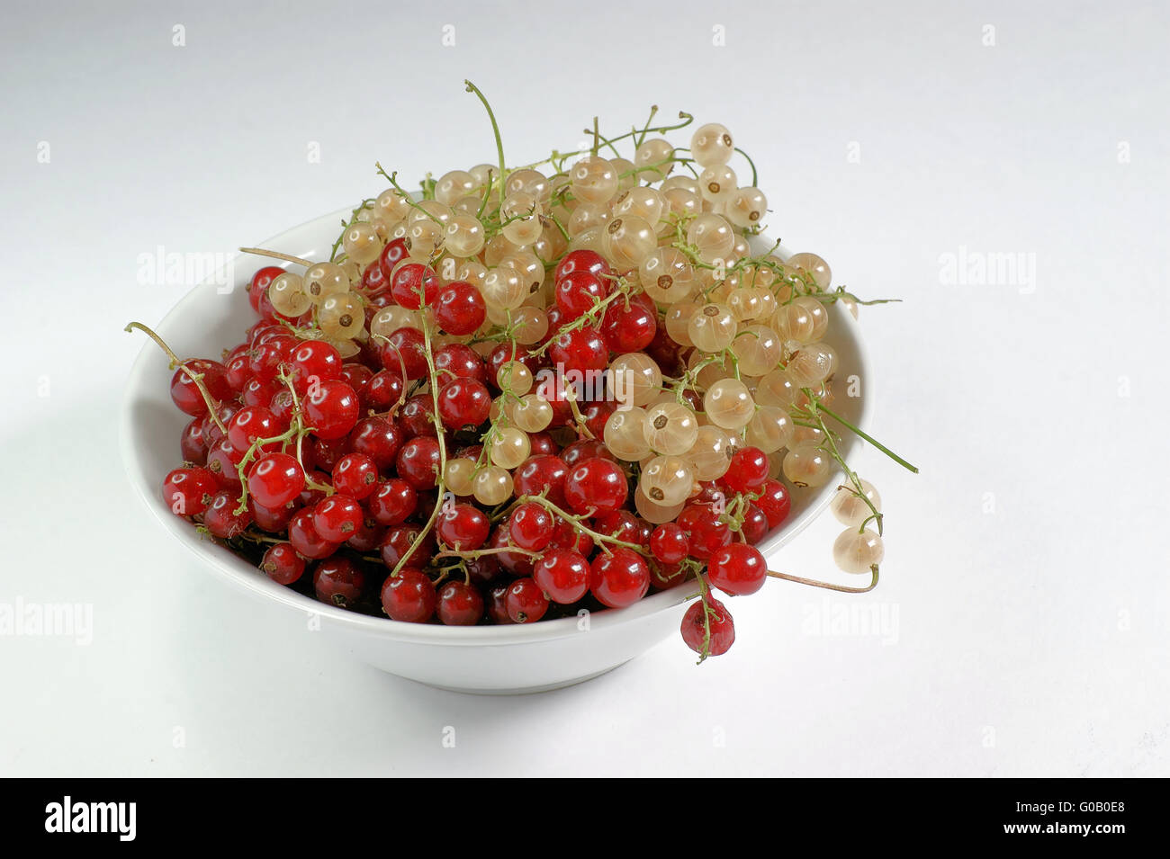 Red and white currant Stock Photo - Alamy