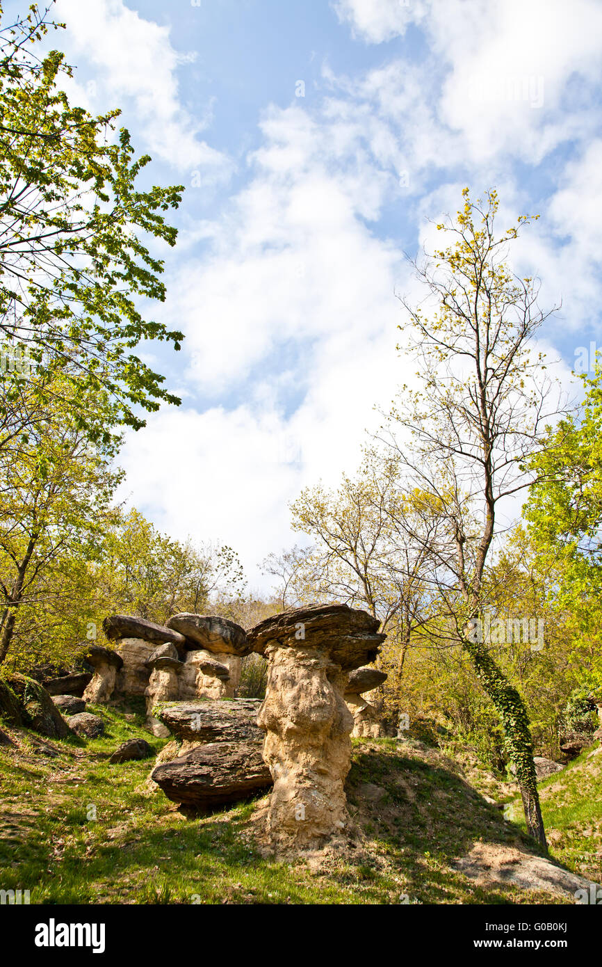 Imaginative forest landscape Stock Photo - Alamy