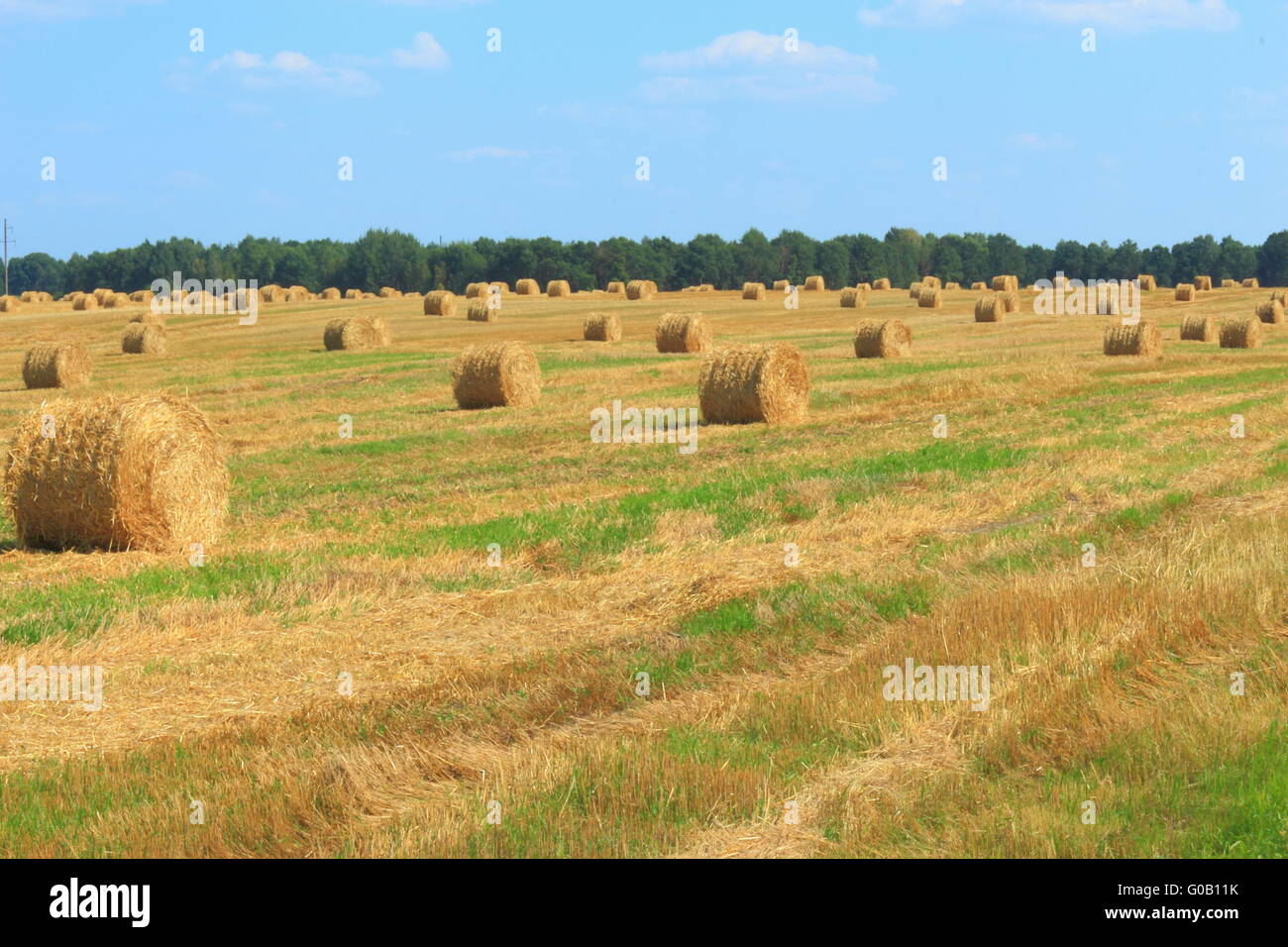 The sheaf view hi-res stock photography and images - Alamy
