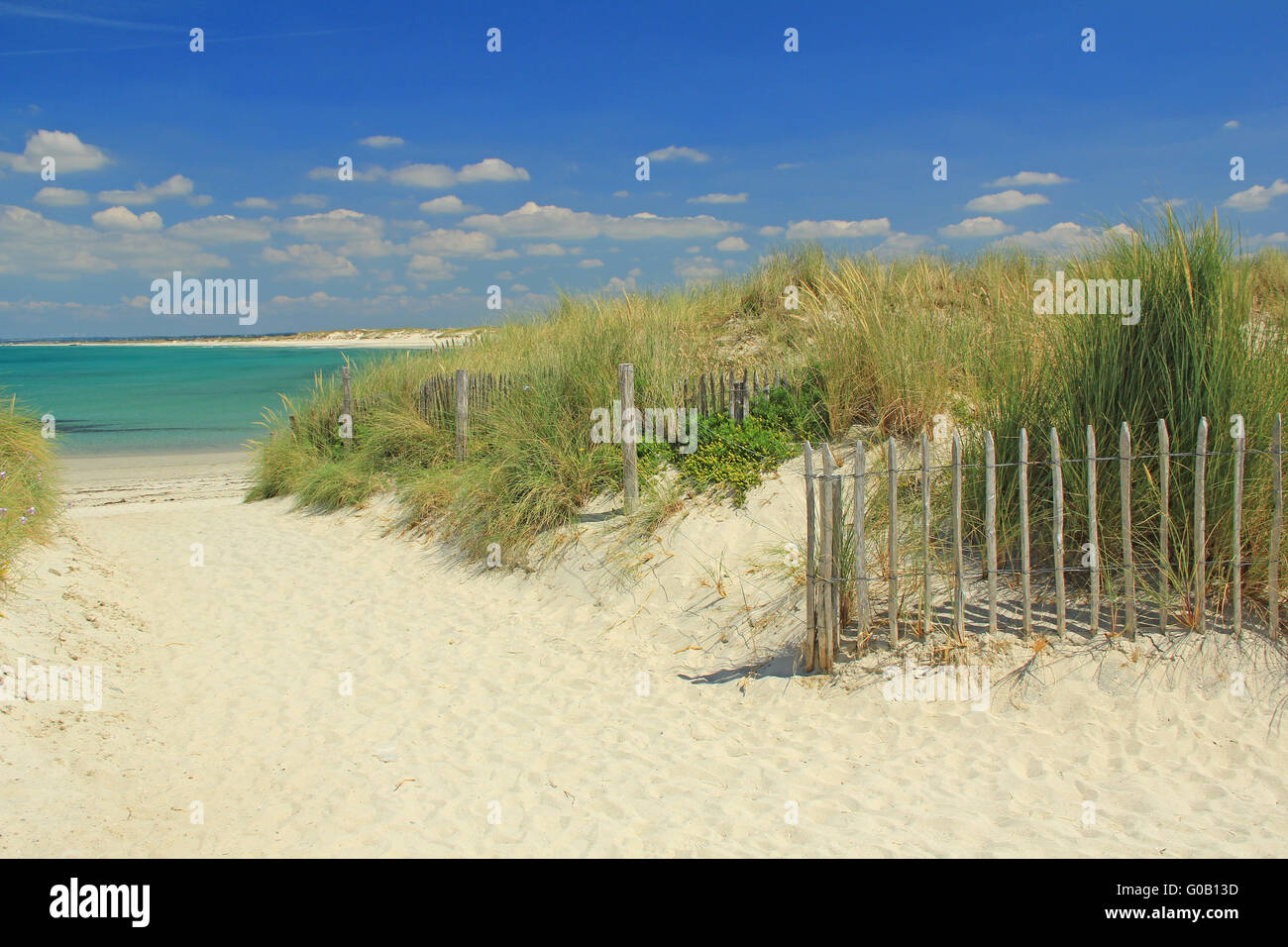 Transverse dunes hi-res stock photography and images - Alamy