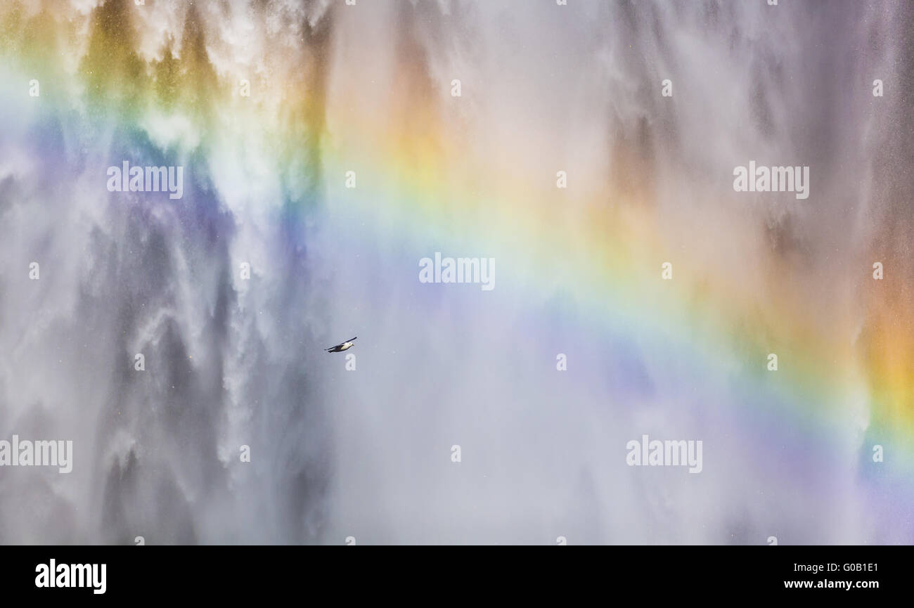 Under the rainbow Stock Photo - Alamy