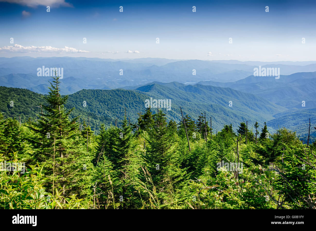 A wide view of the Great Smoky Mountains from the top of Clingman's ...