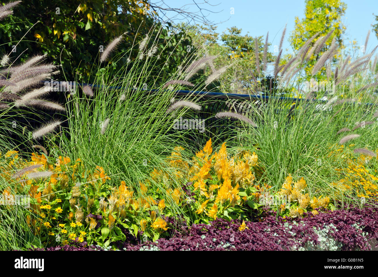 Daylight flower hi-res stock photography and images - Alamy