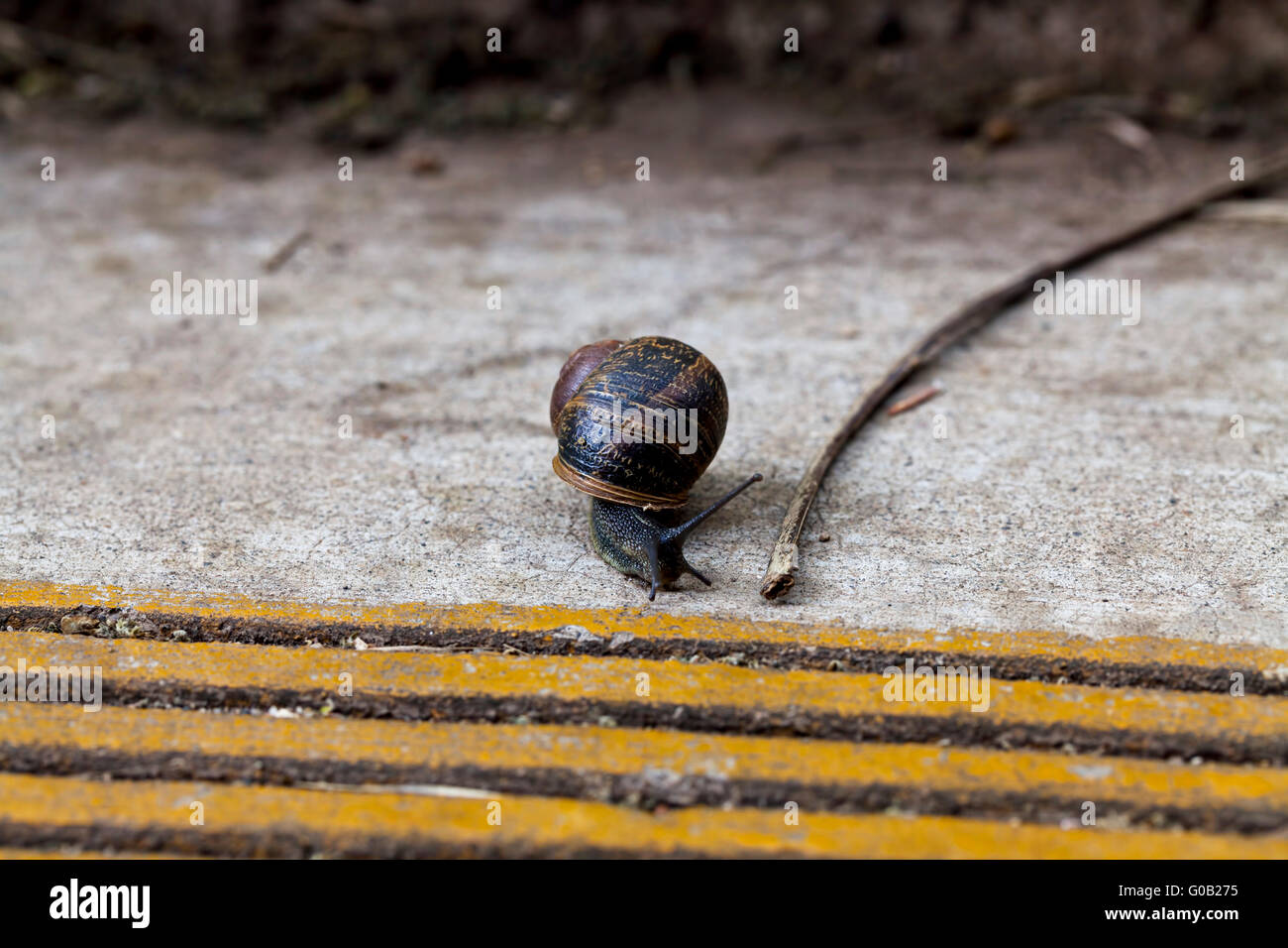 Concrete snail hi-res stock photography and images - Alamy