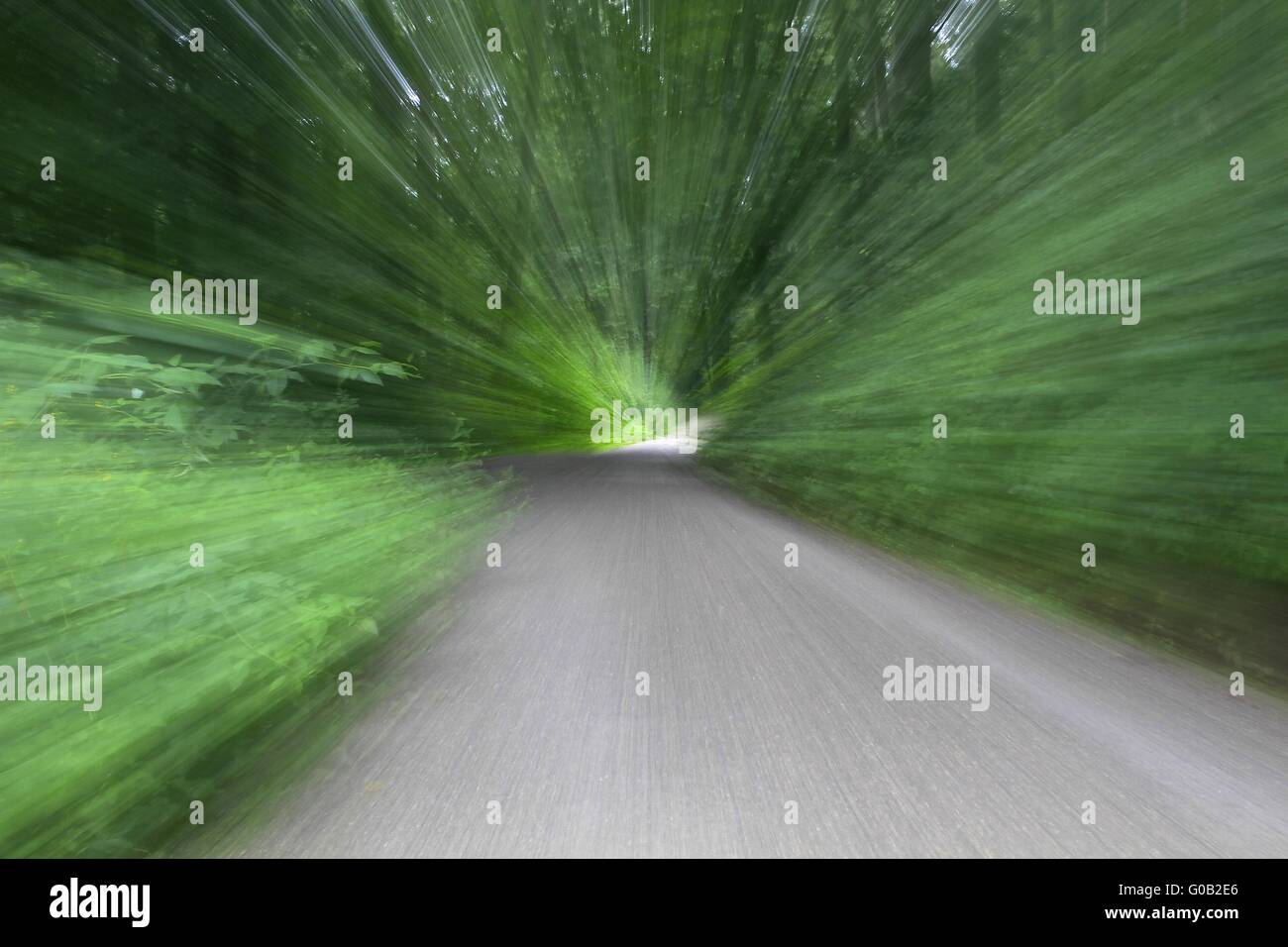 Speed trees hi-res stock photography and images - Alamy