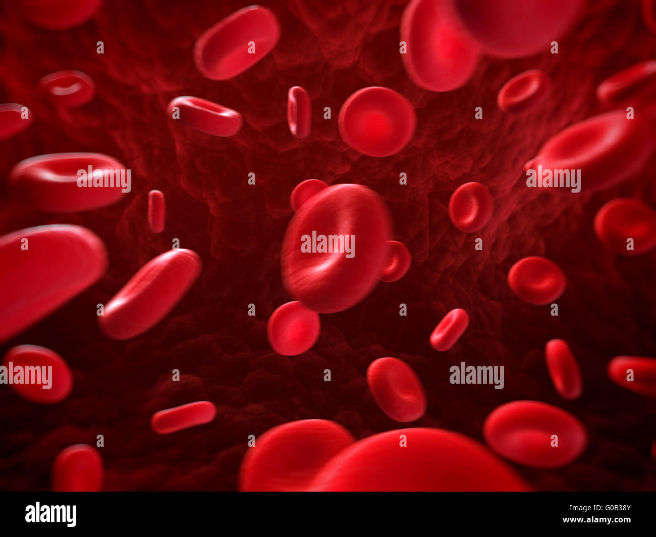 3d rendered illustration of human blood cells Stock Photo - Alamy