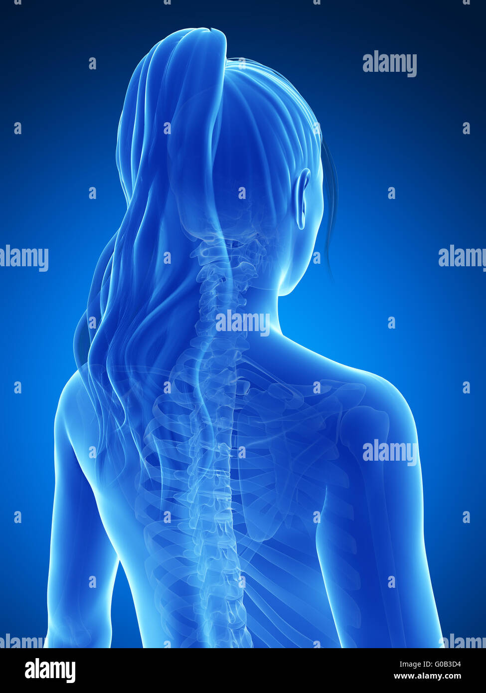 Health joint hi-res stock photography and images - Alamy