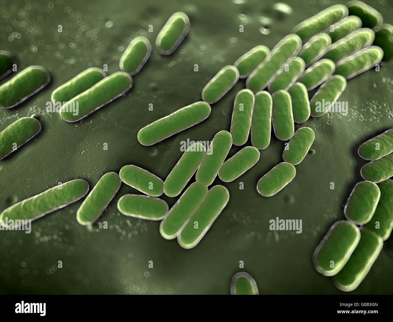 3d rendered scientific illustration of some bacteria Stock Photo - Alamy