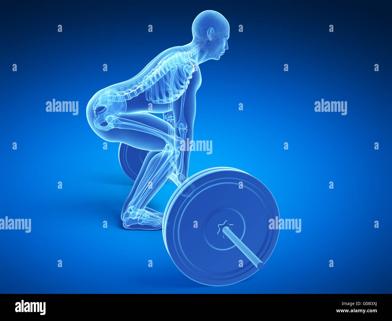 Correct lifting posture hi-res stock photography and images - Alamy