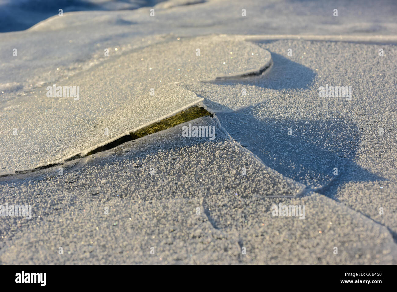 Rock cracking through the ice in Vagspollen in the Lofoten Islands ...