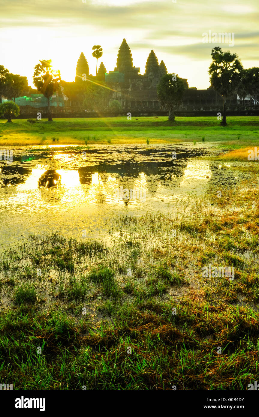 Giant tree covering Ta Prom and Angkor Wat temple, Siem Reap, Cambodia ...