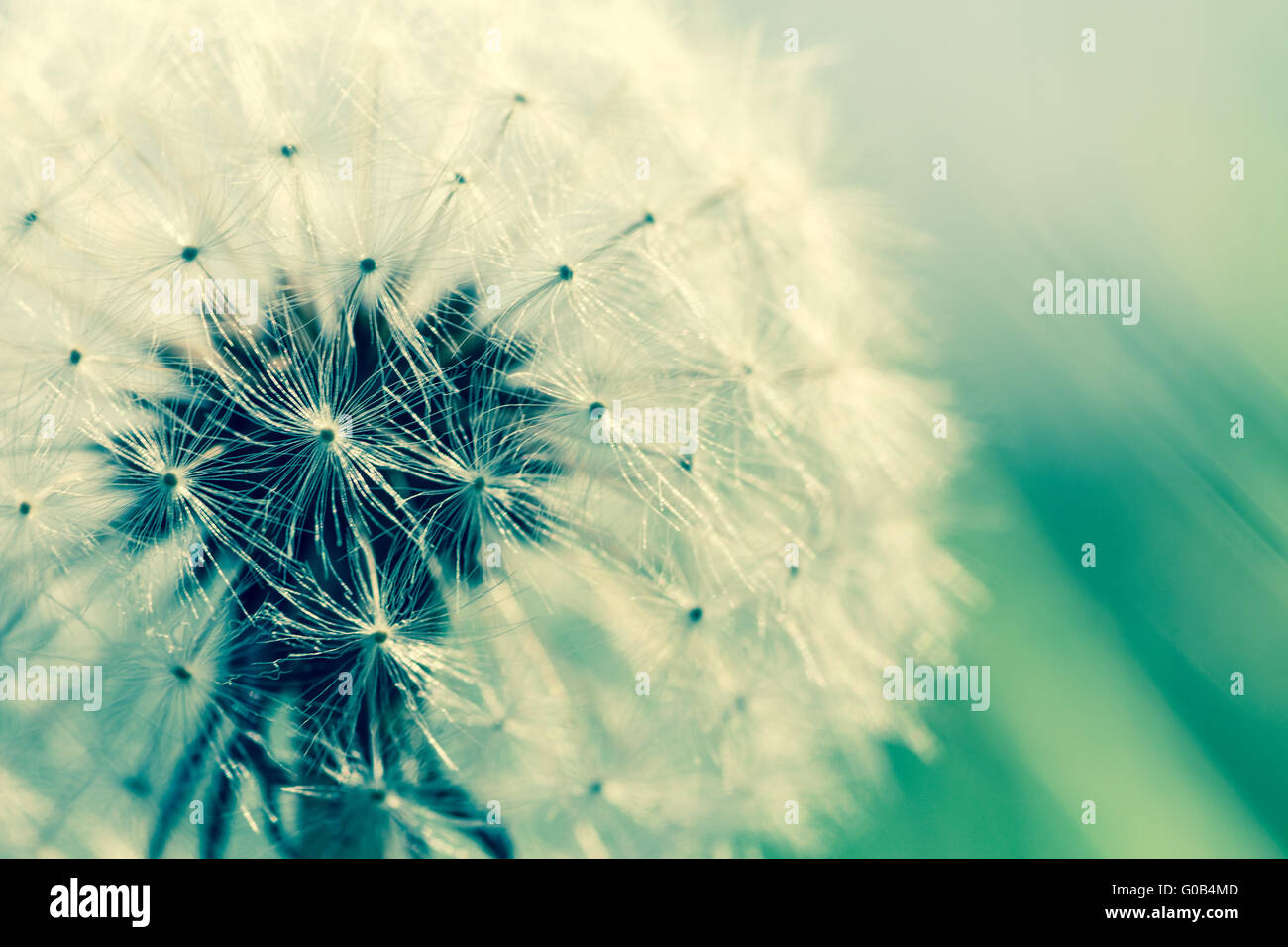 Delicate backgrounds hi-res stock photography and images - Alamy