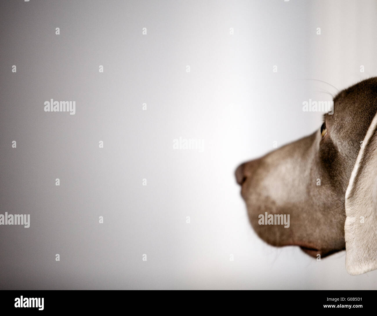 line of sight II Stock Photo - Alamy