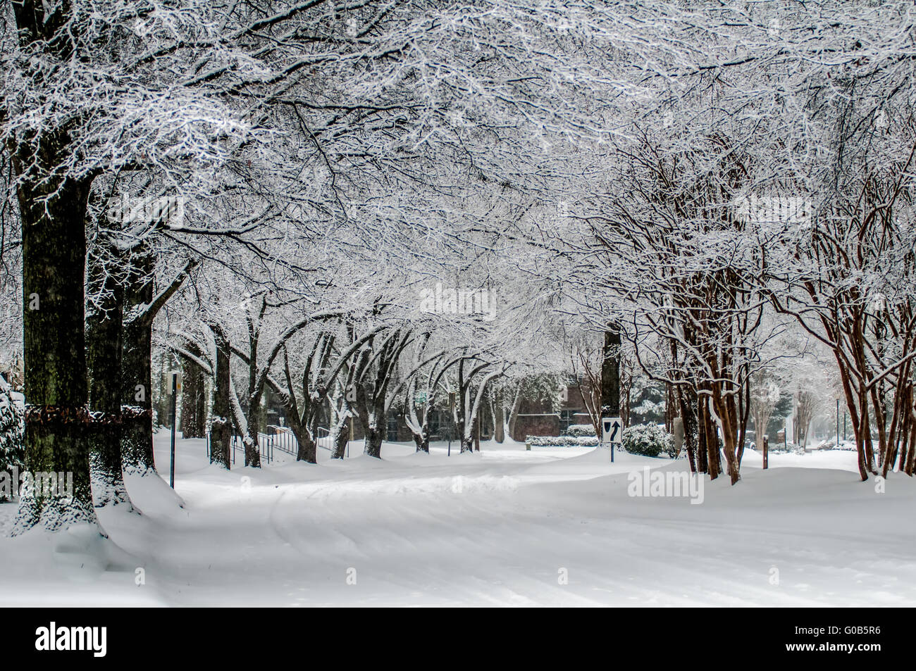 snow covered road and trees after winter storm Stock Photo - Alamy