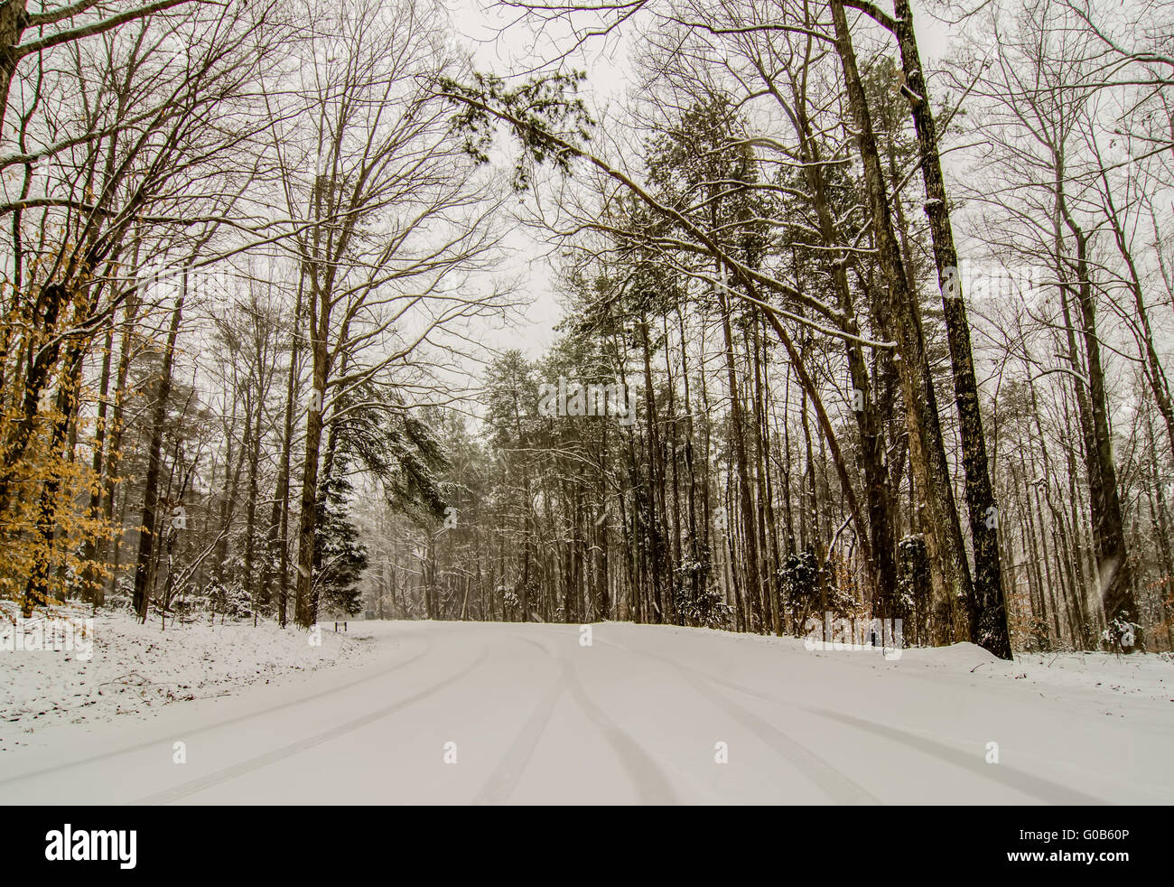 snow covered road and trees after winter storm Stock Photo - Alamy