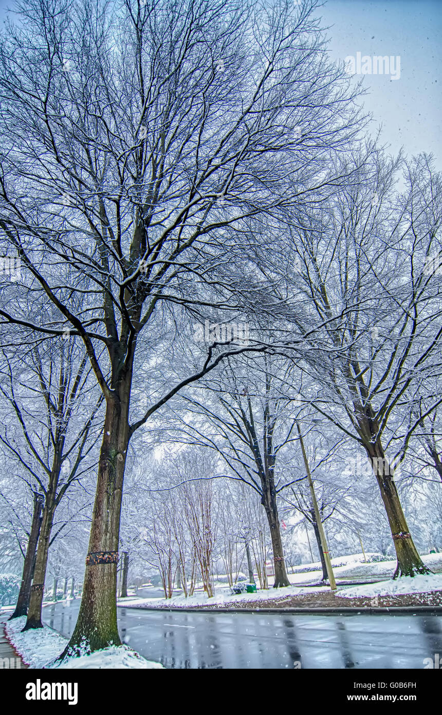 snow covered road and trees after winter storm Stock Photo - Alamy