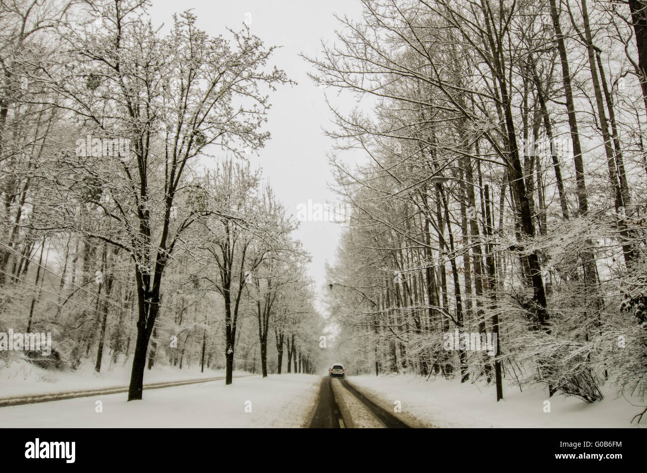 snow covered road and trees after winter storm Stock Photo - Alamy