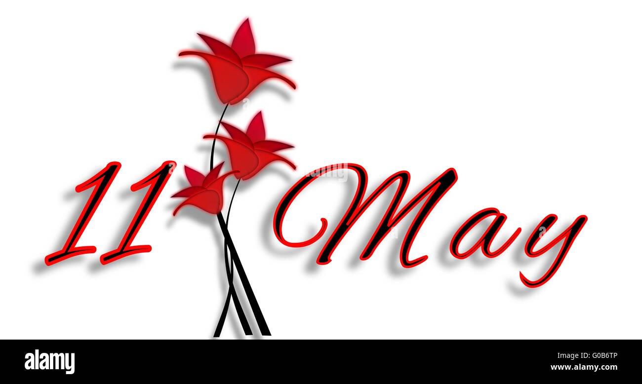 Mother's Day on May 11th with red flowers isolated on a white ...