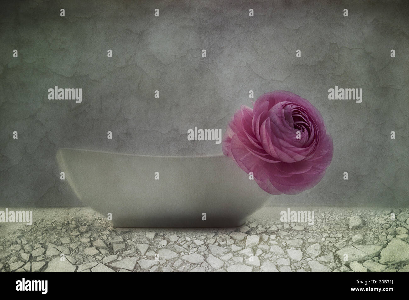 Broken Beauty High Resolution Stock Photography and Images - Alamy