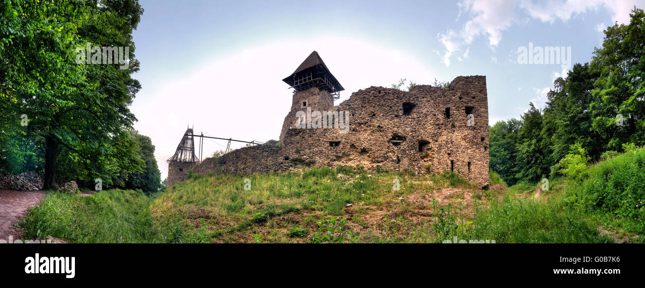 Nevitsky Castle ruins Ukraine Built in 13th century Stock Photo - Alamy